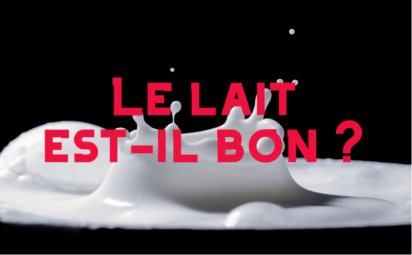 Le lait ... bon ou pas bon ?? - Drosana: Eveil, Bien-être & Régénération